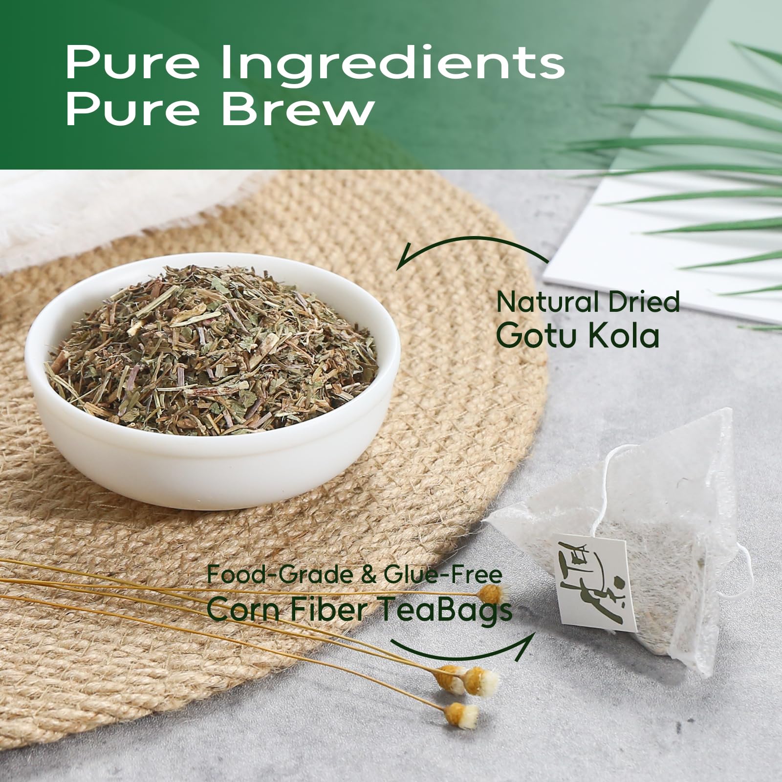 Natural Gotu Kola tea for wellness
