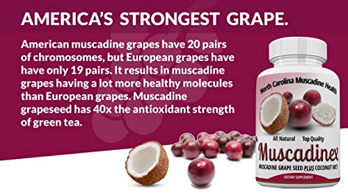 natural grape seed extract benefits