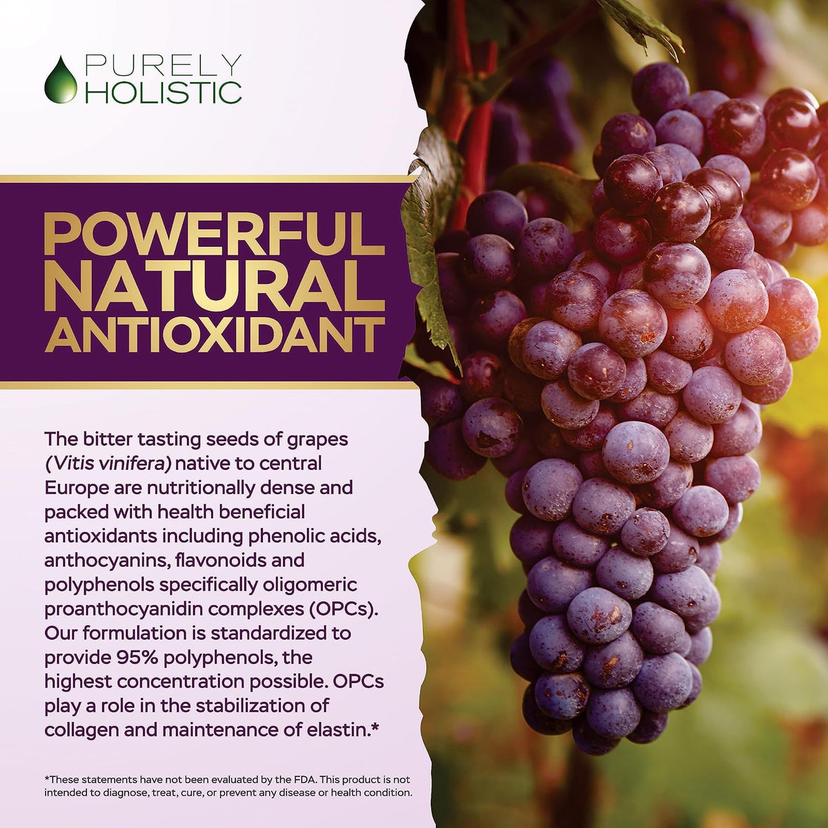 natural grape seed extract capsules