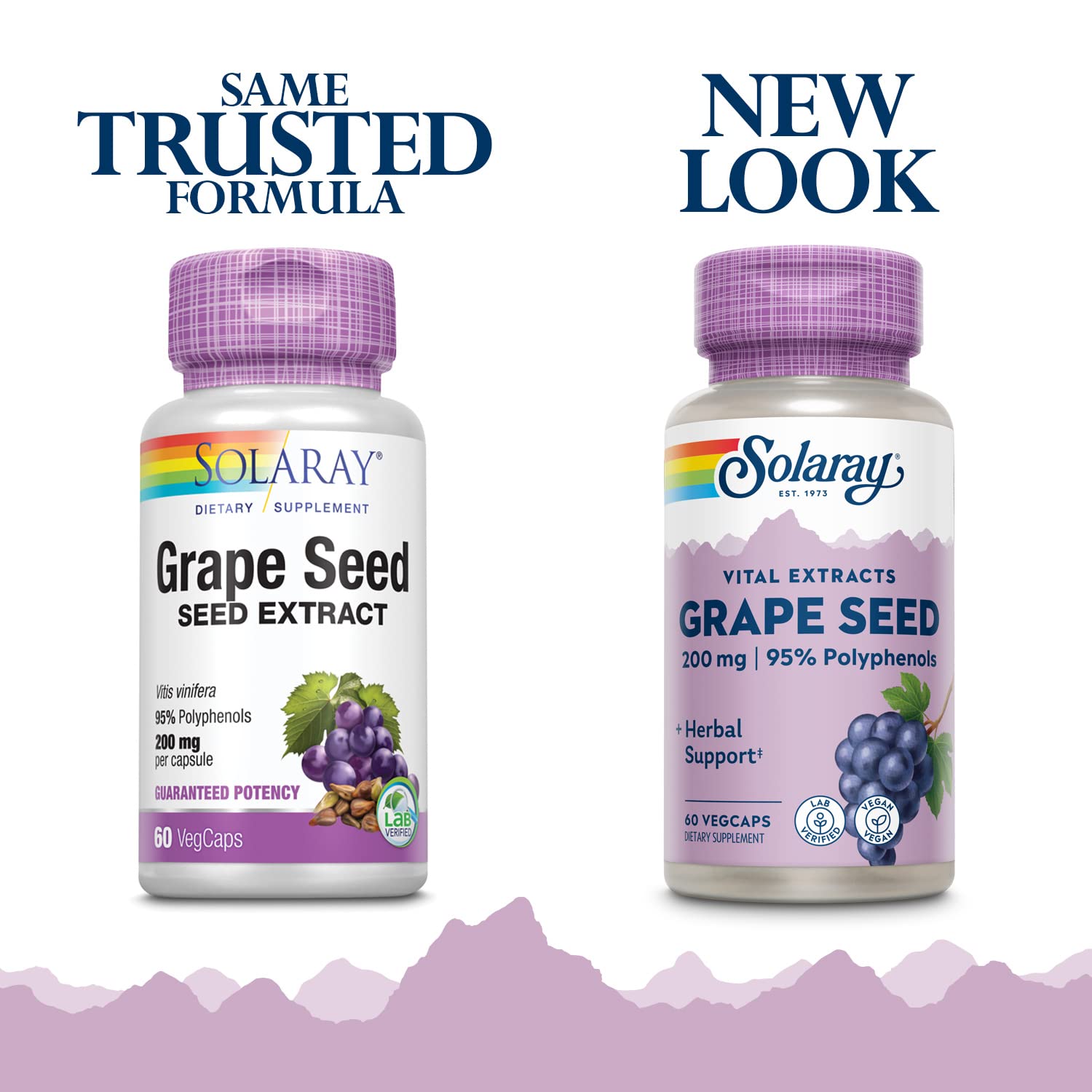 natural grape seed extract supplement