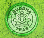 natural green tea extract for energy