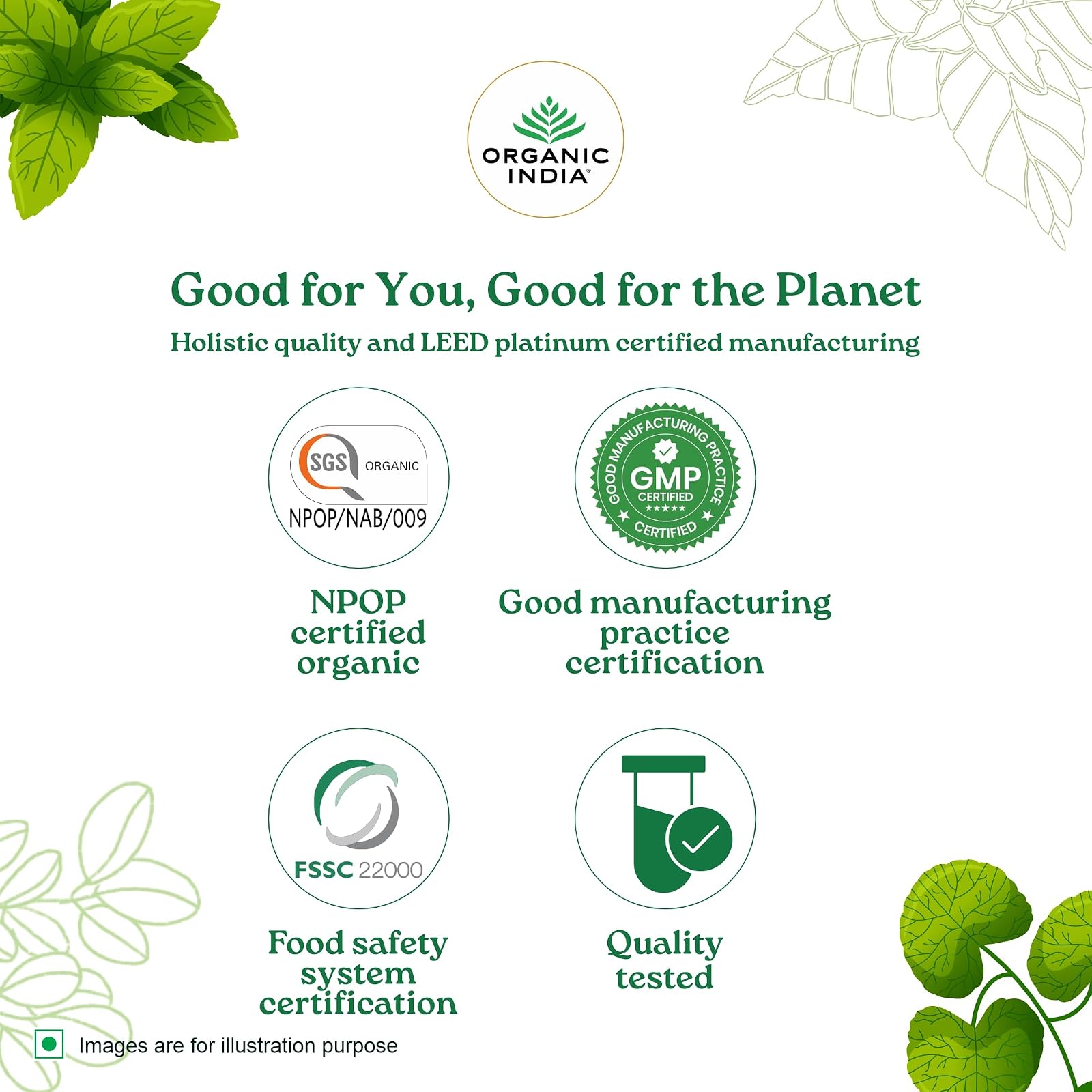 natural green tea extract infusion