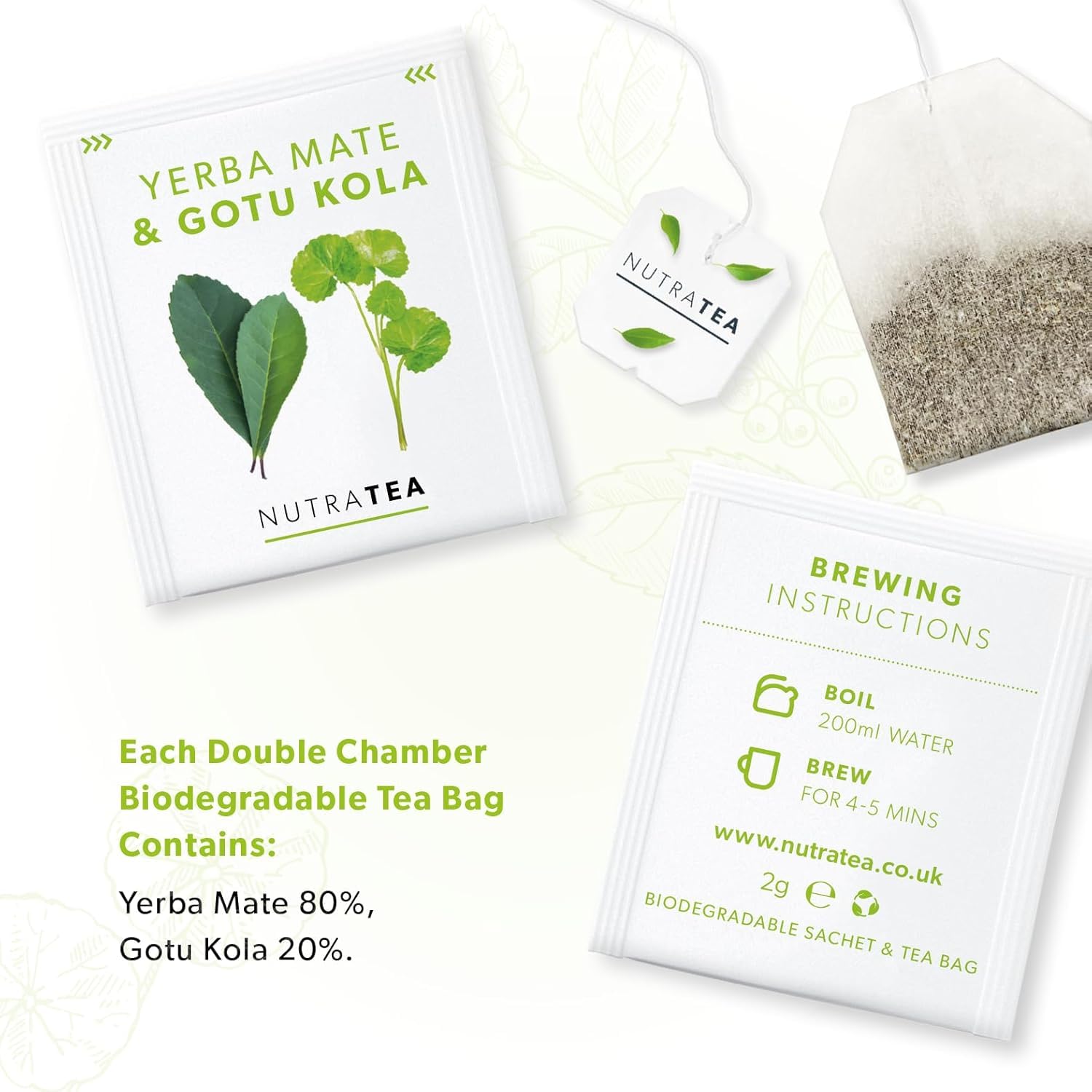 natural green tea extract infusion