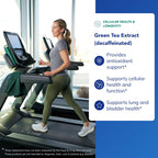 natural green tea extract supplement