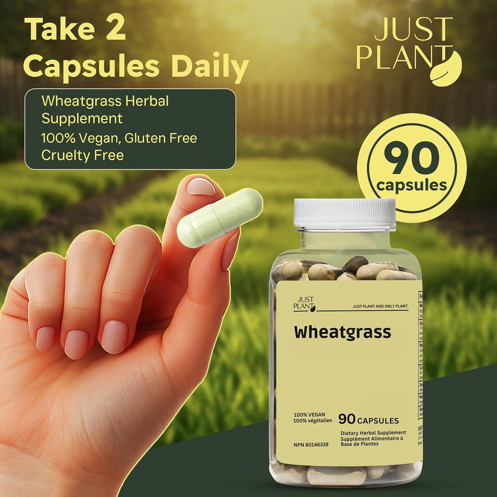 natural greens powders for health boost