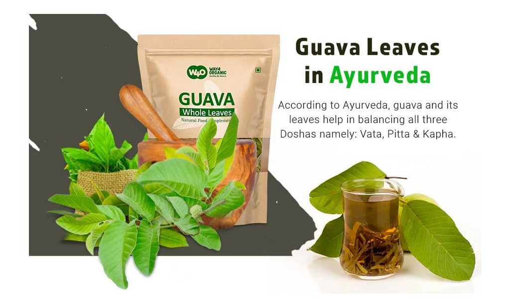 natural guava leaves for detox