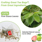 natural guava leaves tea for wellness