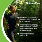 Natural Gugulipid for healthy living