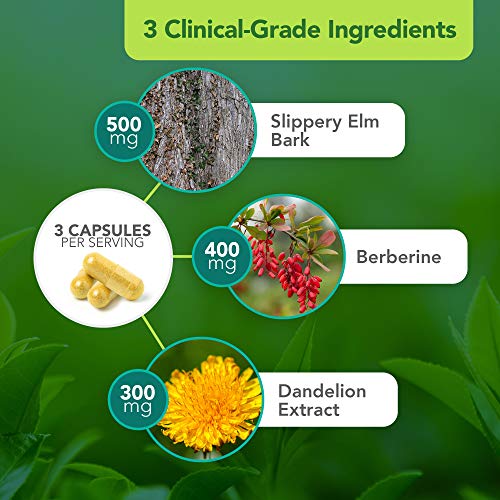 Natural gut balance supplement for wellness