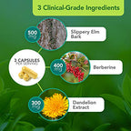Natural gut balance supplement for wellness