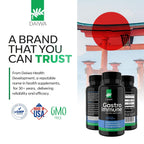 natural gut health supplement capsules