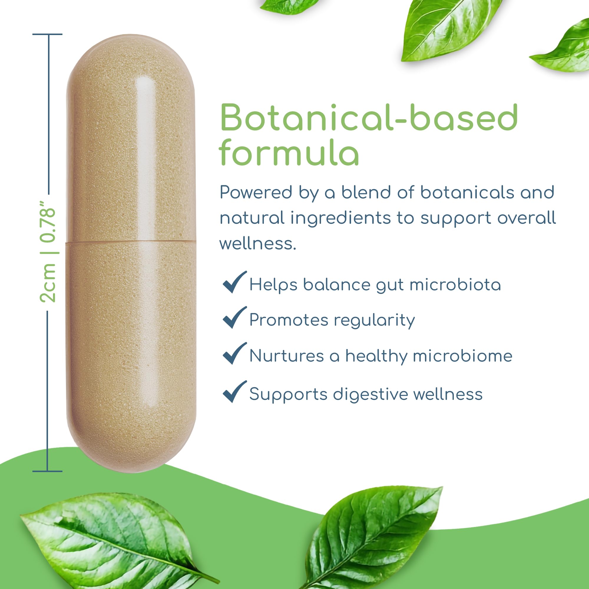 natural gut health supplement for adults