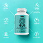 natural gut health supplement