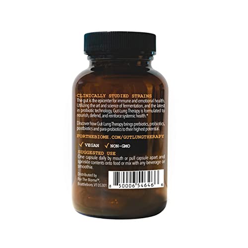 natural gut health supplements for wellness