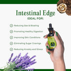natural gut health support capsules