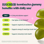 natural gut health support gummies