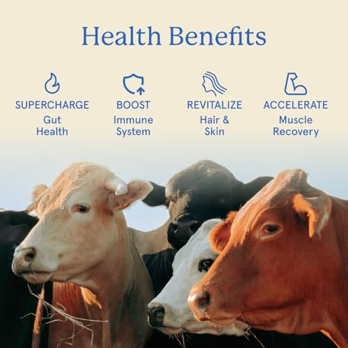 natural gut health support gummies