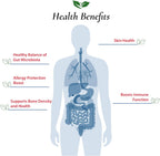 natural gut health support powder