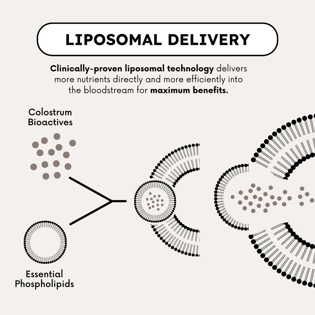 Natural gut health support with colostrum