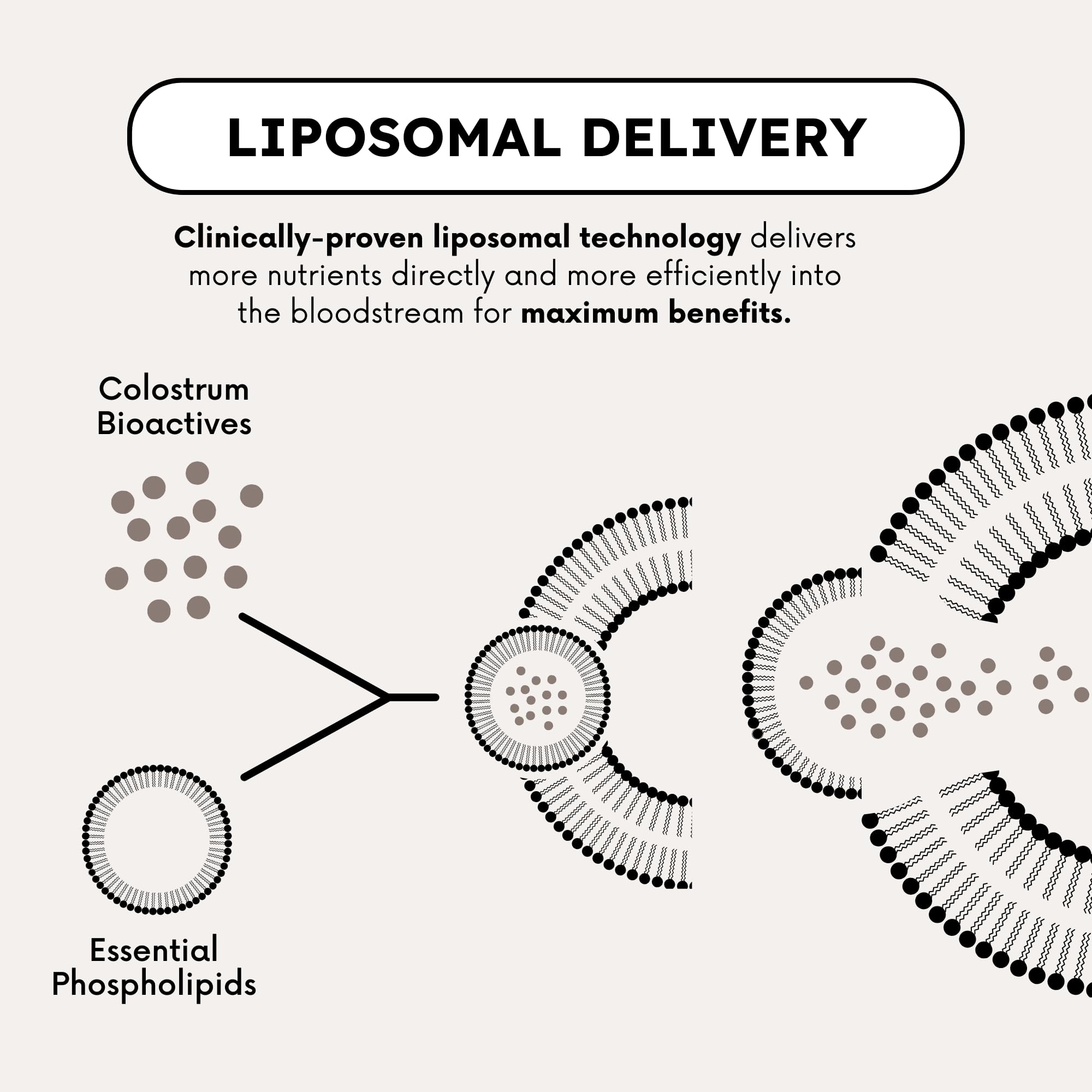 Natural gut health support with colostrum