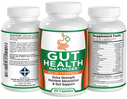 natural gut health support with enzymes