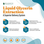 natural gut health support