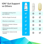 Natural gut support supplement