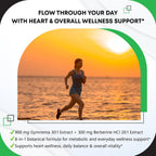 Natural Gymnema Sylvestre capsules for wellness