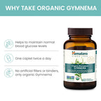 Natural Gymnema Sylvestre extract for health