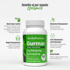 natural gymnema sylvestre extract