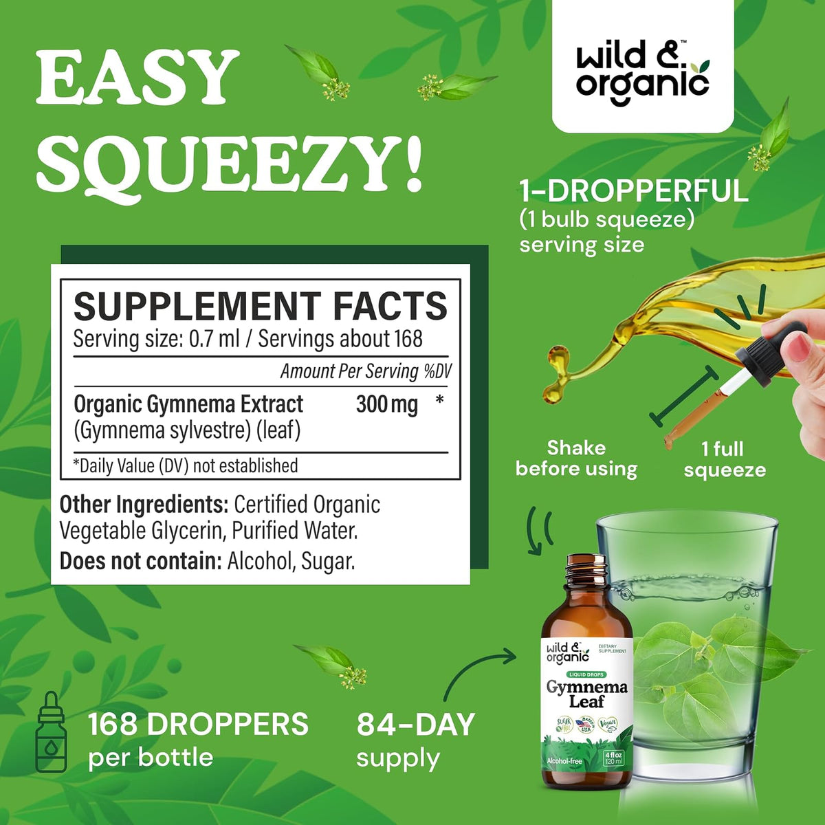 natural gymnema sylvestre supplement