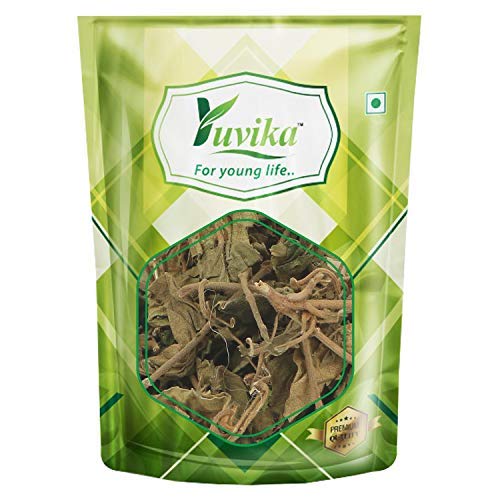 natural gymnema sylvestre supplement