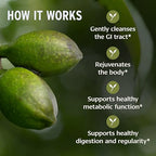 natural haritaki for detox support