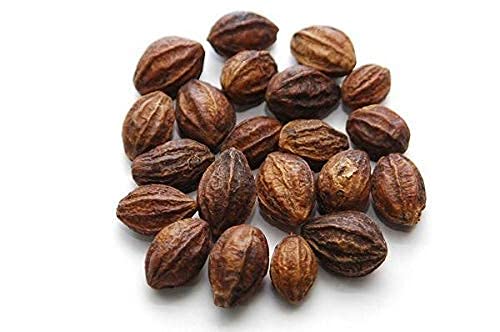 natural haritaki supplement for wellness
