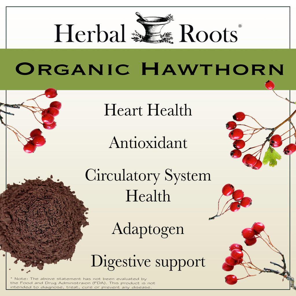 natural hawthorn berry extract capsules
