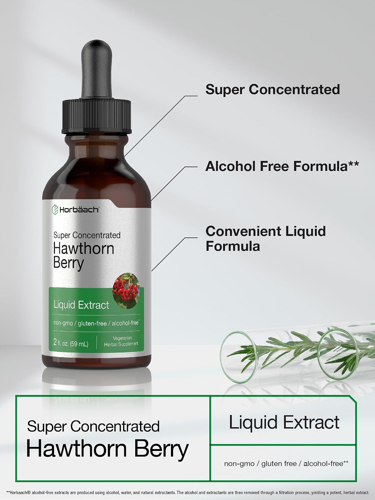 natural hawthorn berry extract supplement