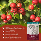 natural hawthorn berry supplement