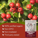 natural hawthorn berry tea benefits