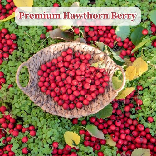 natural hawthorn berry tea infusion