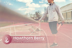 Natural hawthorn capsules for wellness