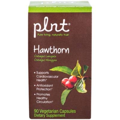 natural hawthorn extract for wellness support
