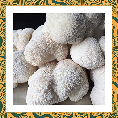 natural health benefits of lion's mane