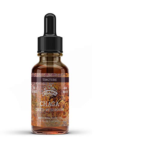 natural health chaga mushroom extract