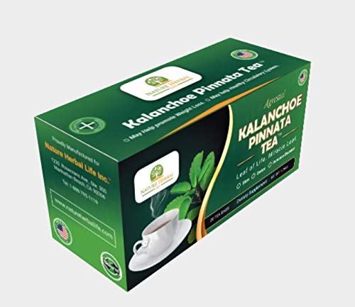 natural health Kalanchoe supplements