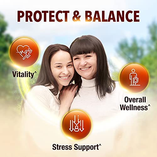 natural health mushroom extract