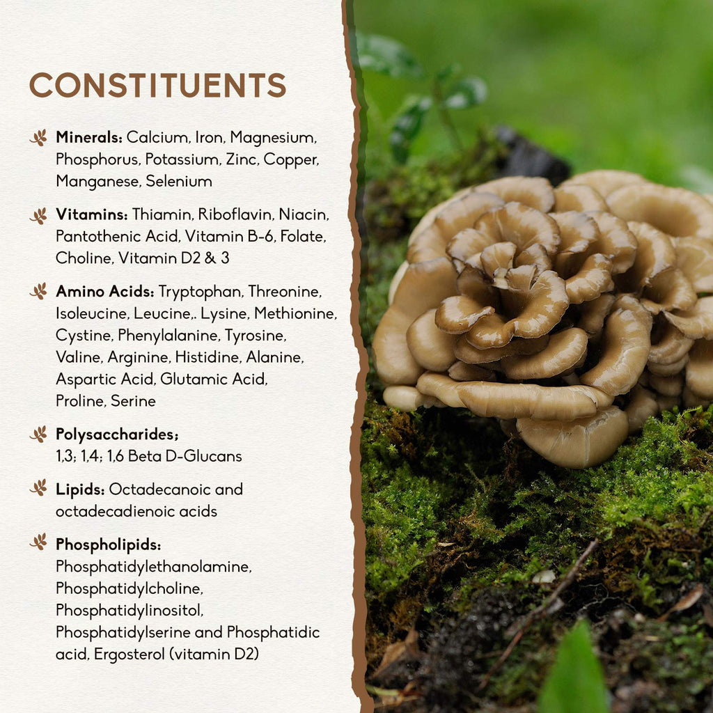 natural health mushrooms for wellness