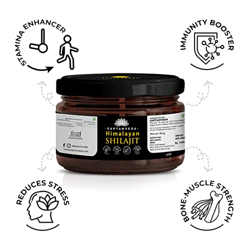 natural health remedy Shilajit