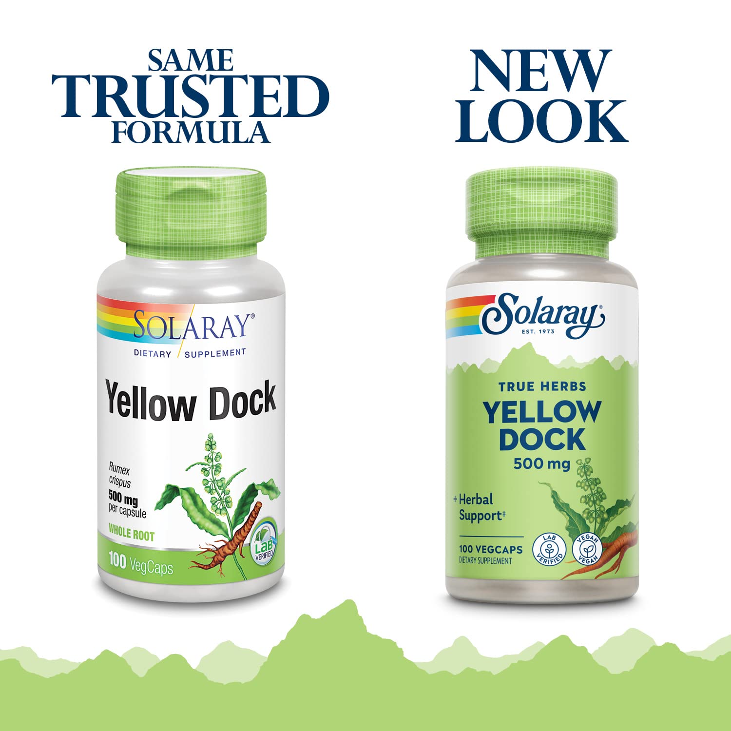 natural health supplement capsules