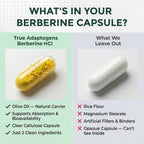 natural health supplement for metabolism