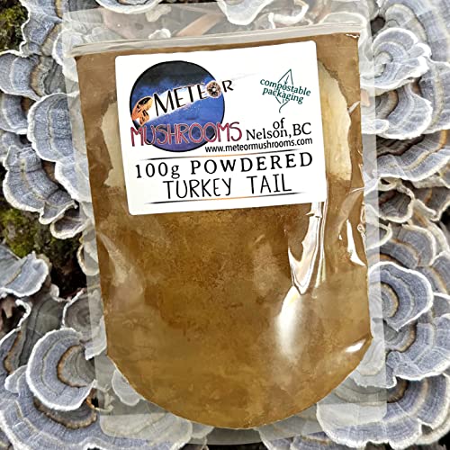 natural health supplement mushrooms